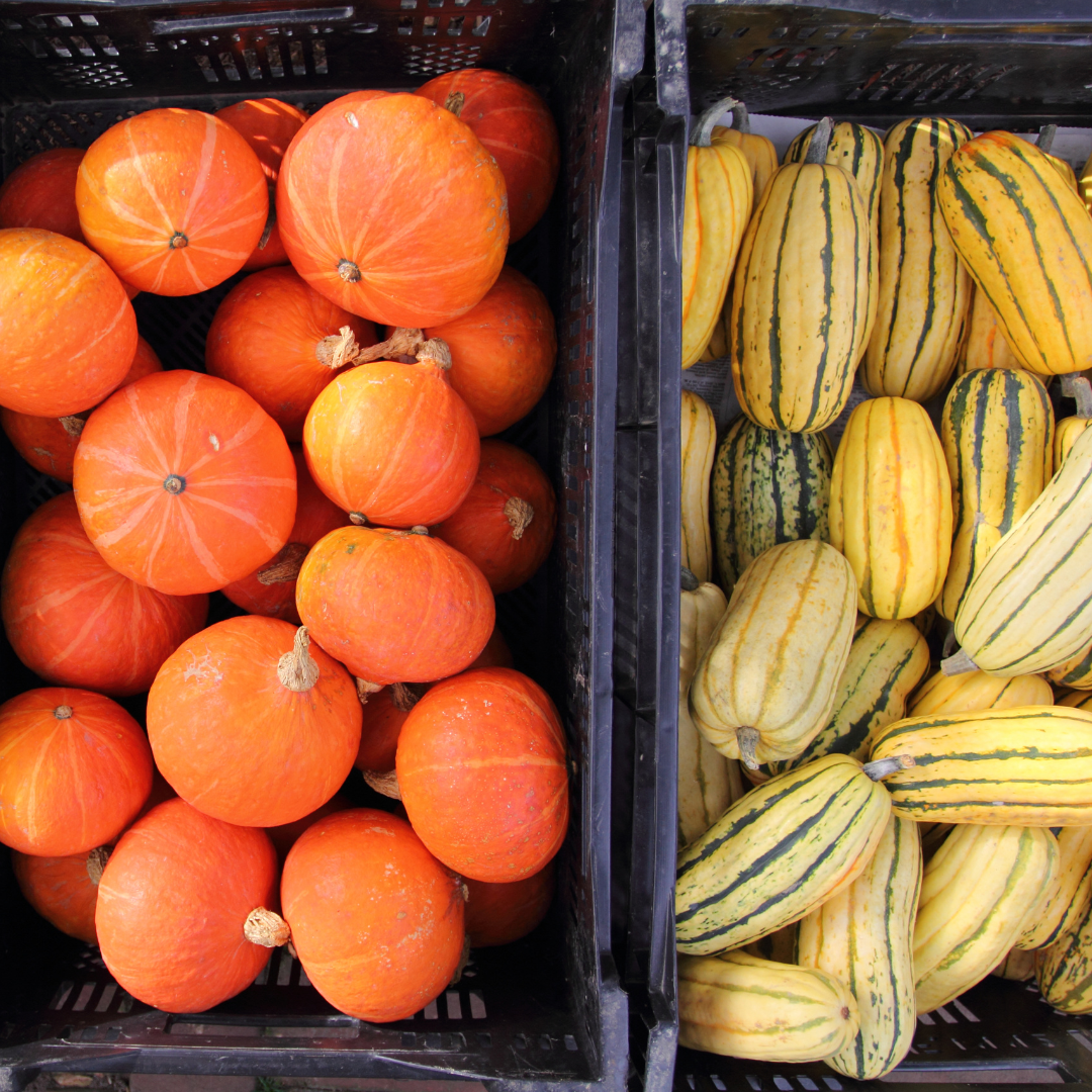 November's Seasonal Produce Guide